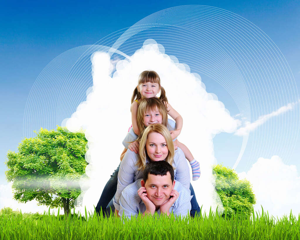 Vine & Branch Pest Control Solutions