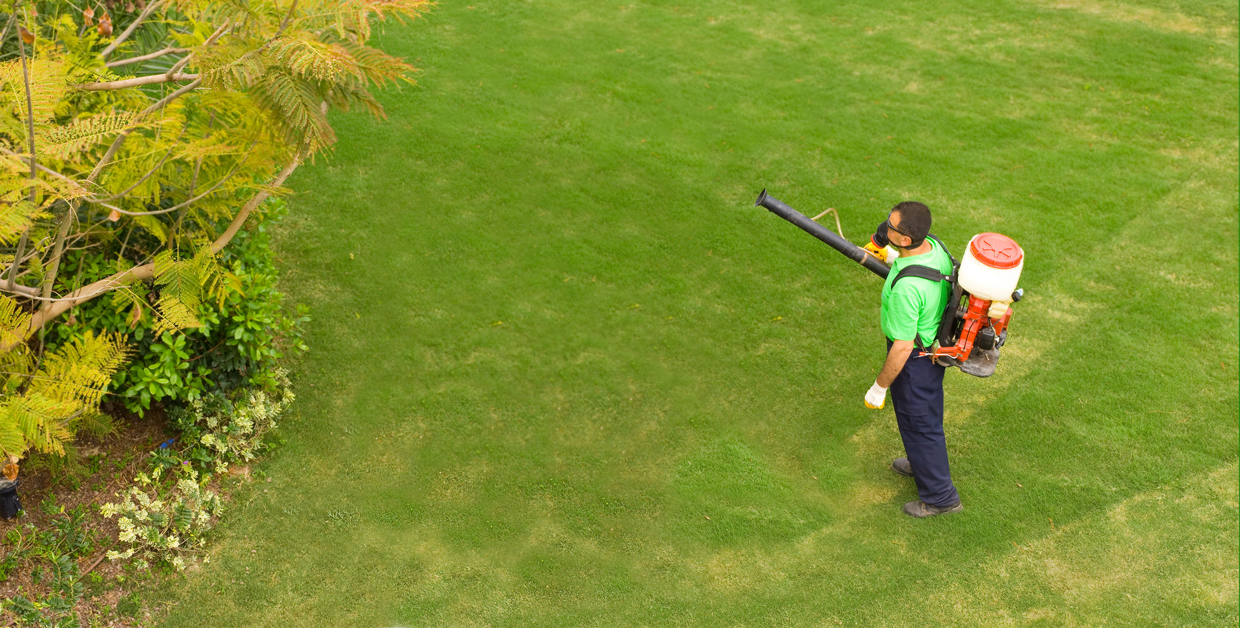 Vine & Branch Pest Control Solutions